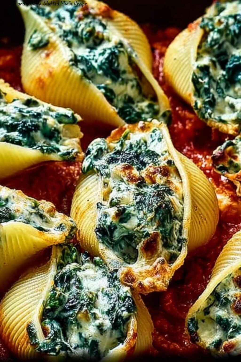Spinach and Ricotta Stuffed Shells Recipe | RecipeCoo