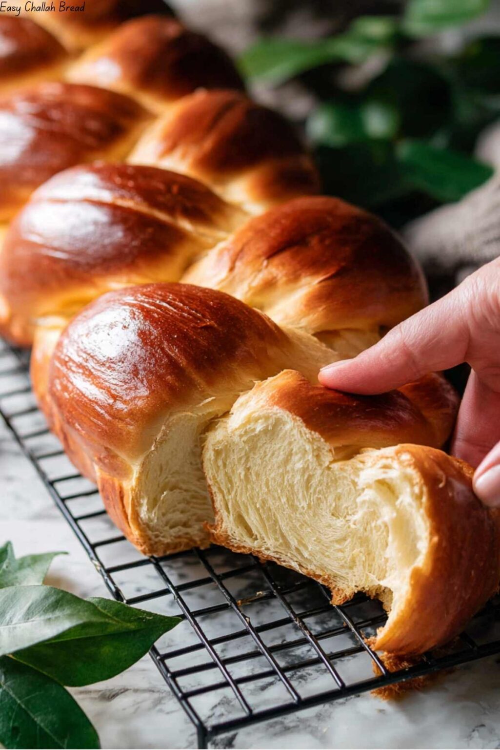 Easy Challah Bread | RecipeCoo