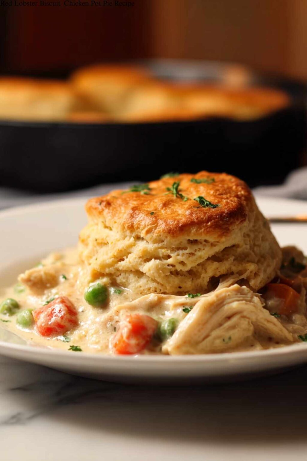 Red Lobster Biscuit Chicken Pot Pie Recipe | RecipeCoo