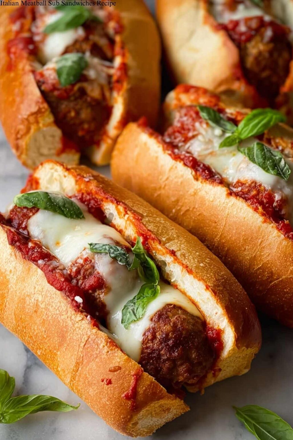 Italian Meatball Sub Sandwiches Recipe | RecipeCoo
