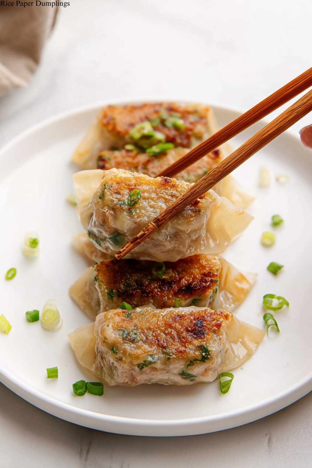 Rice Paper Dumplings | RecipeCoo